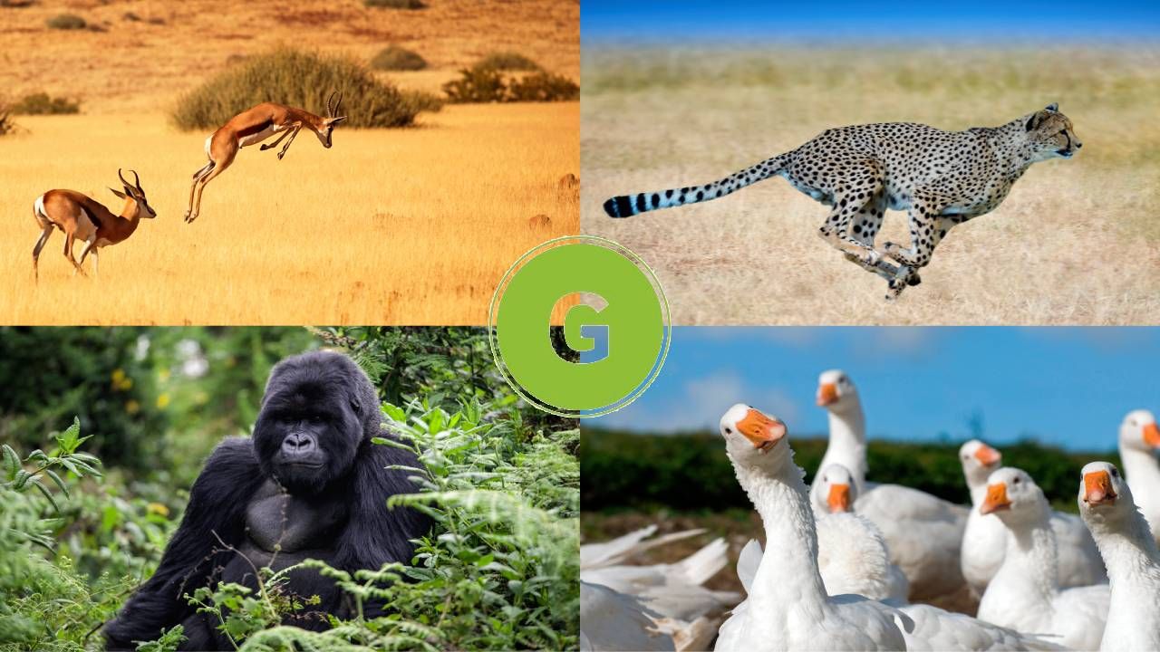 El beso esquimal: Origen, significado y cómo darlo paso a paso