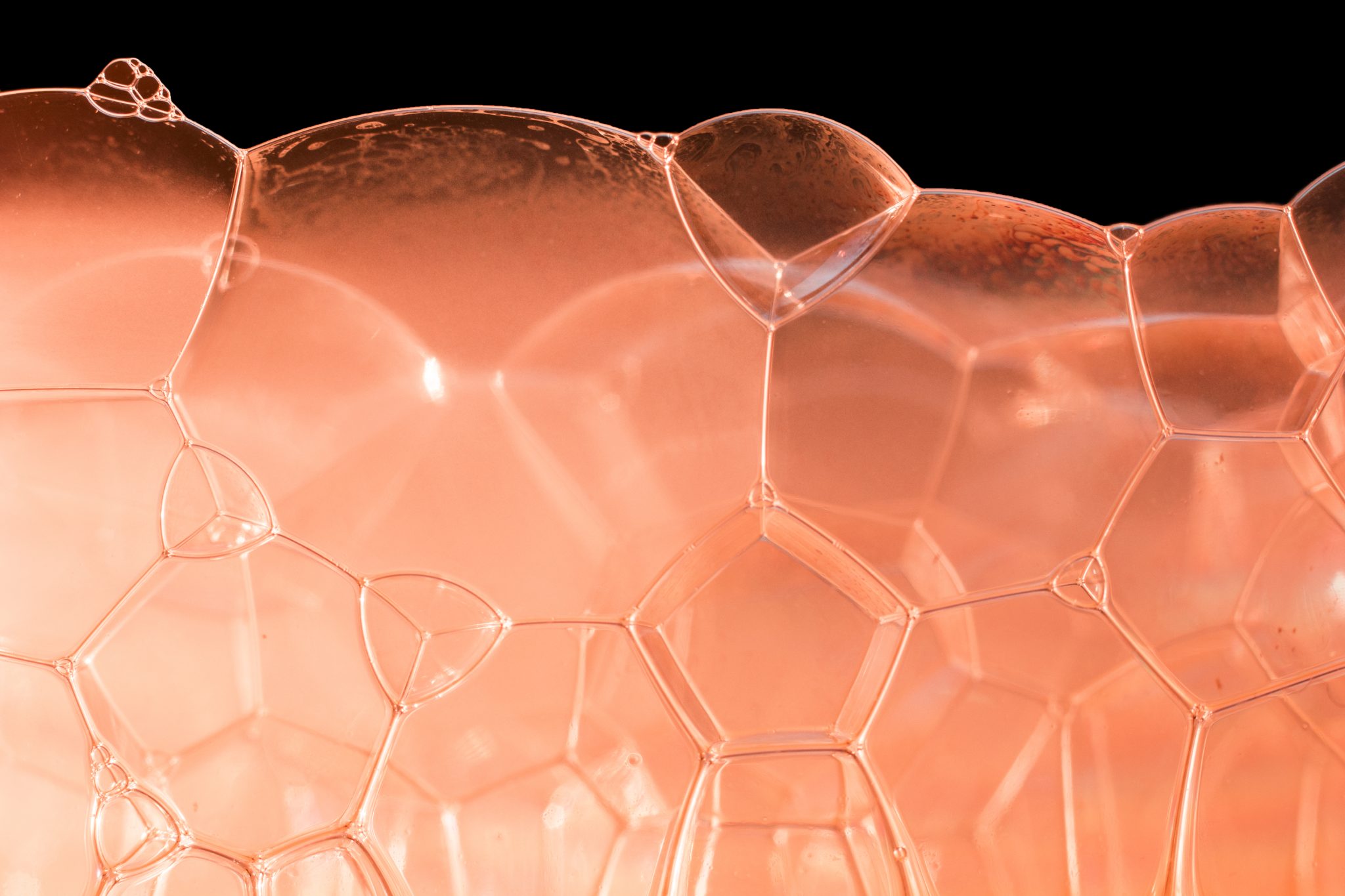 Guía completa para entender y utilizar el terbutil correctamente