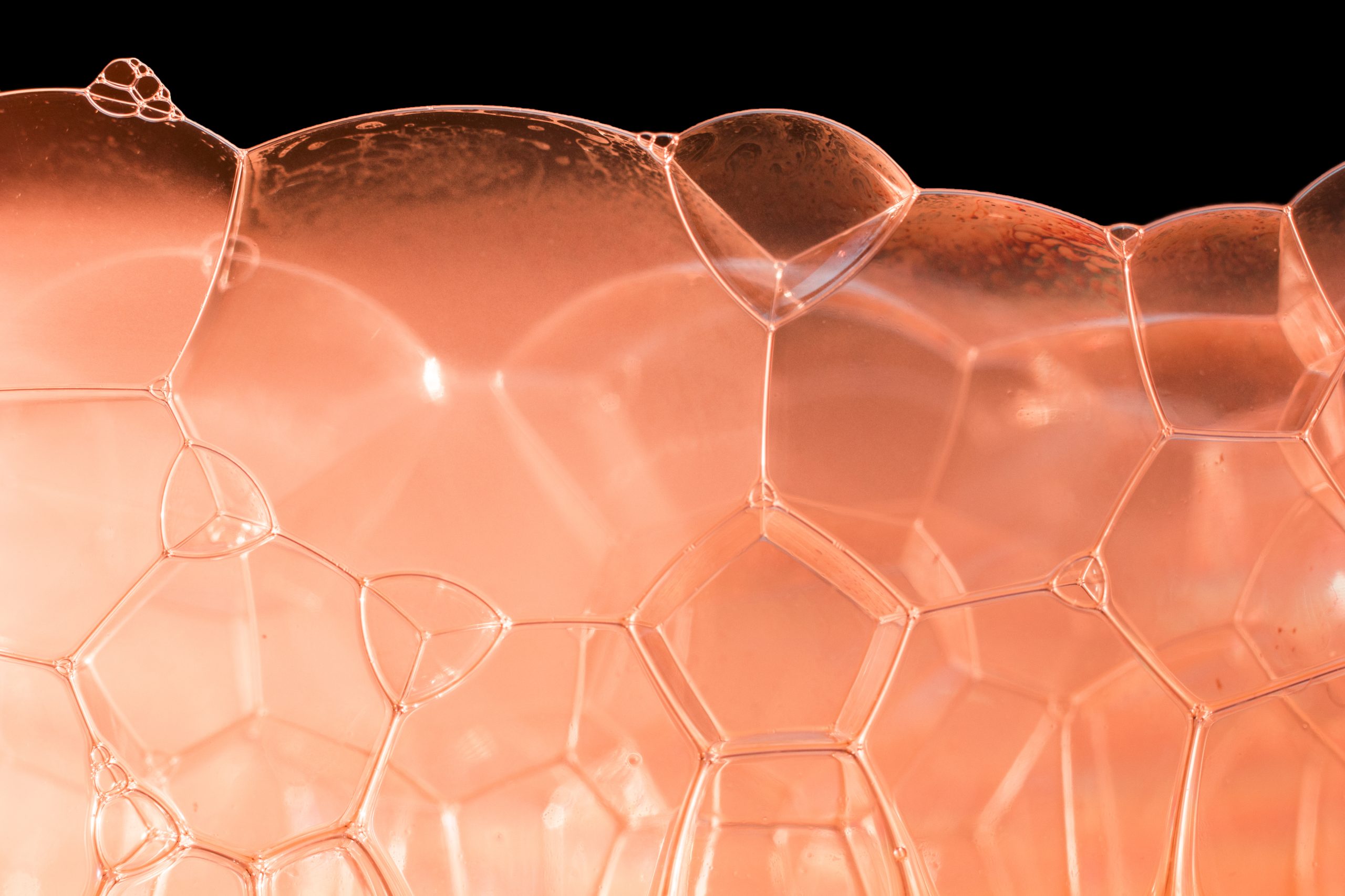 Todo lo que necesitas saber sobre los bioestimuladores de colágeno y ...